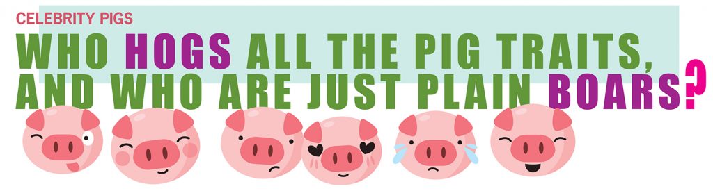 Celebrity pigs: Who hogs all the pig traits, and who are just plain boars?