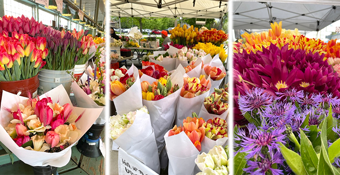 Spring blooms for you, by Hmong farmers