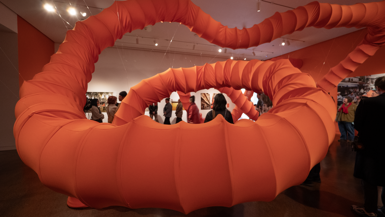 Anida Yoeu Ali’s ‘The Buddhist Bug’ comes to life at Seattle Asian Art ...