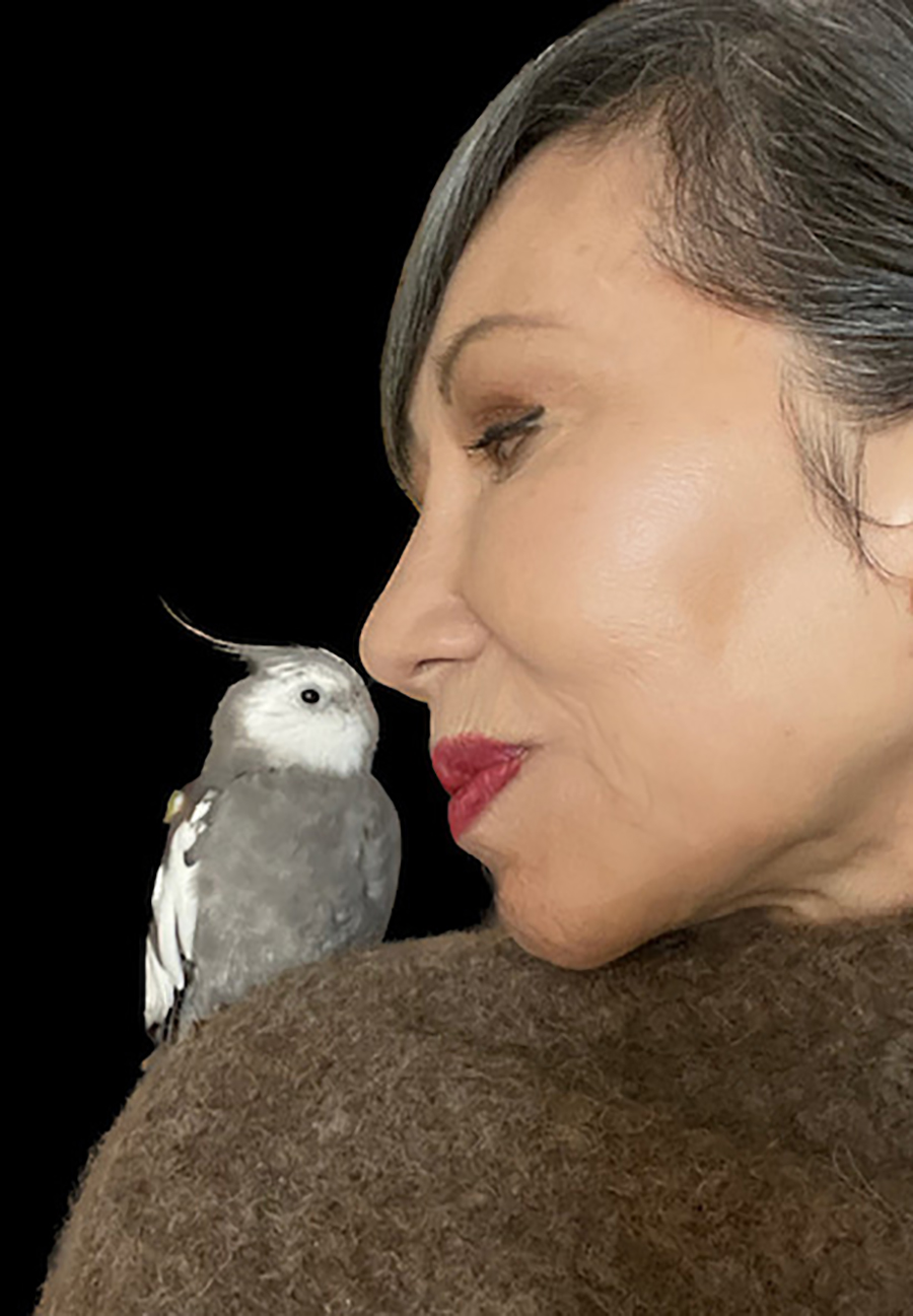 In full flight: Amy Tan’s “The Backyard Bird Chronicles” takes wing