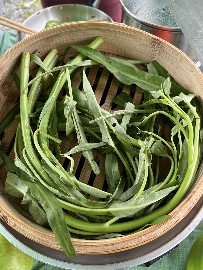 Shark Garden’s ‘Intro to Asian Vegetables’ class brings Asian flavors ...
