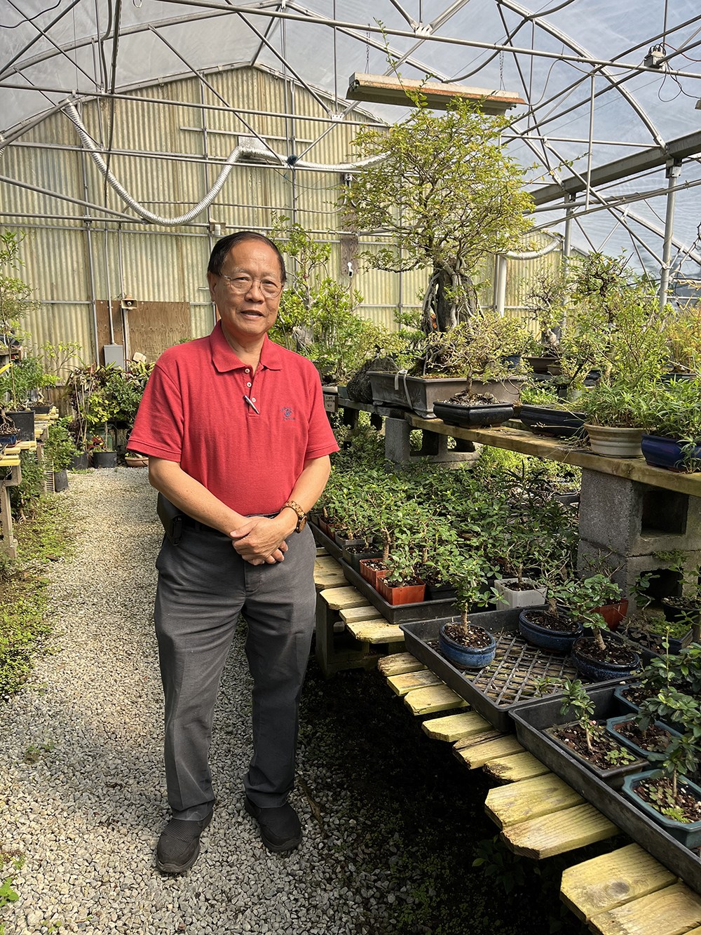 Bonsai expert Robert Cho shares his knowledge and love of bonsai