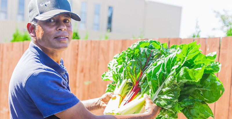 South Asian-operated Namuna Farm in Kent receives grant