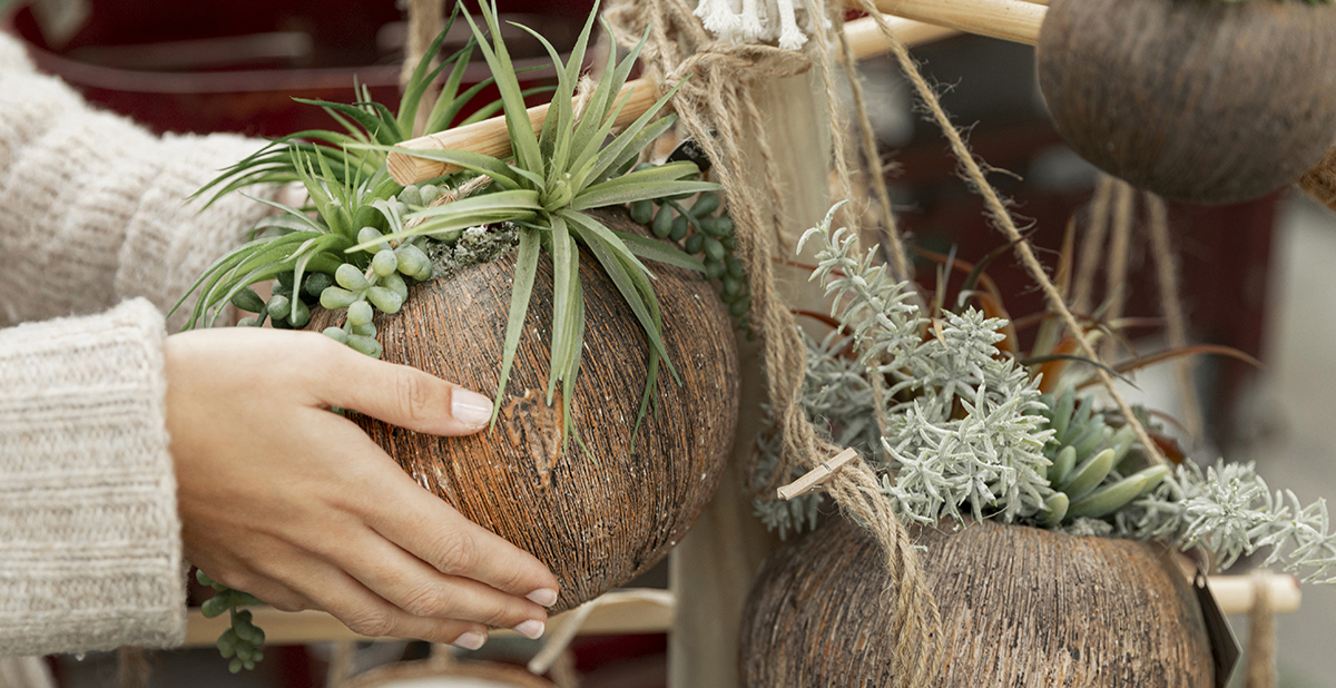 Transform your houseplants into art with this Japanese gardening technique